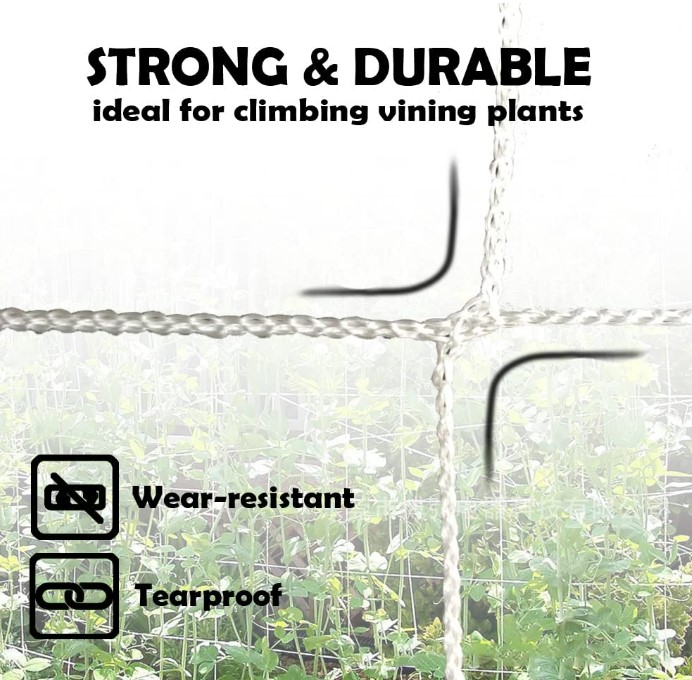 Nylon Trellis Netting Supplier - Batawa